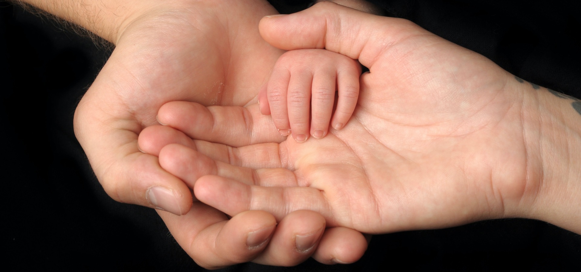 Life Insurance - Royal Insurance Corporation of Bhutan Limited Royal ...